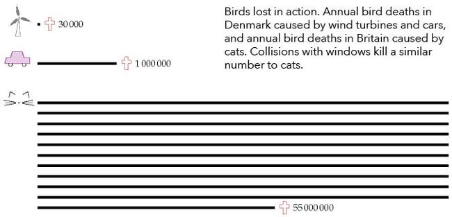 Bird Deaths
